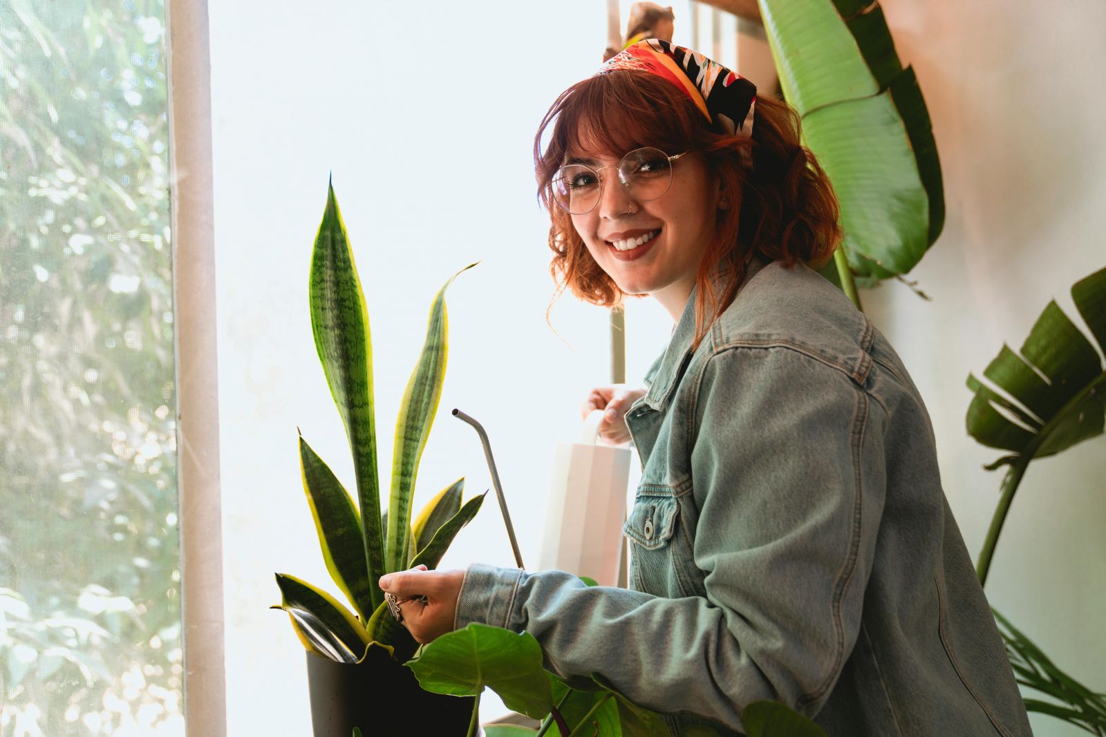 Best Plants for a Greener, Happier Apartment In Westfield | Farmhouse ...